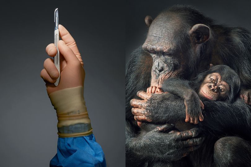 Some Animals Were Saved In The Making Of This Story (WIRED UK) – Oliver ...